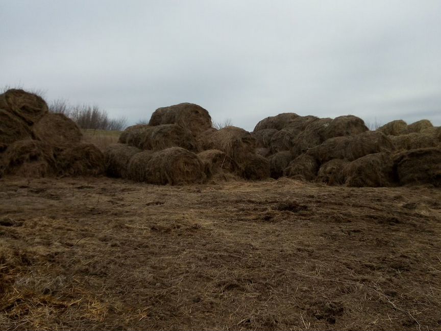 Сено и солома