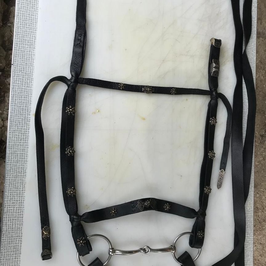 Уздечка для лошади