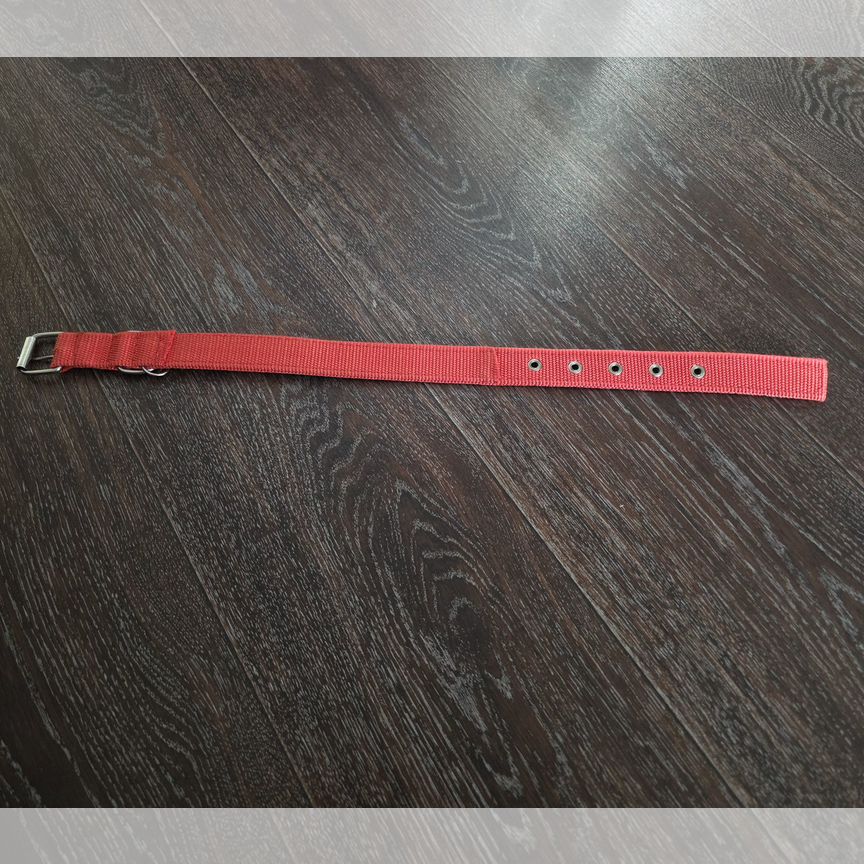 Ошейник для собак