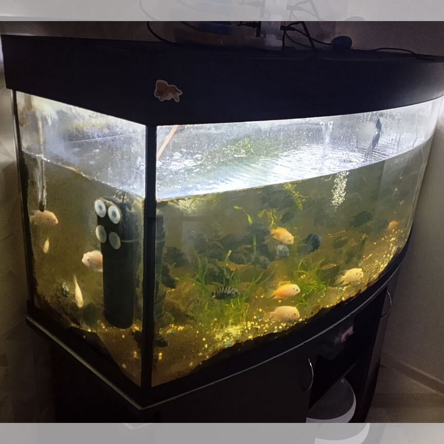 Аквариум с рыбками и тумбой