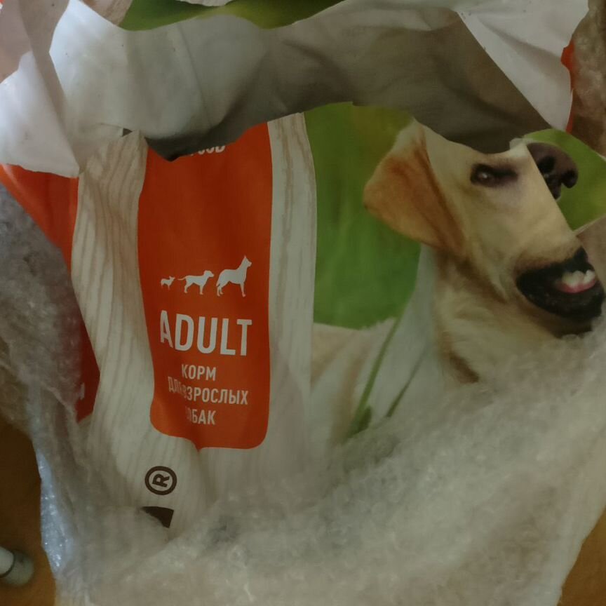 Сухой корм для собак крупных пород