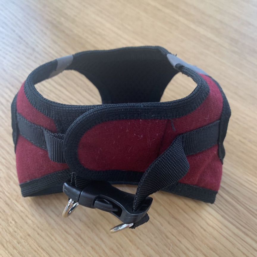 Шлейка для маленькой собаки