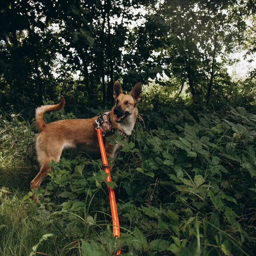 Особенная девочка Маниша в поисках своей семьи
