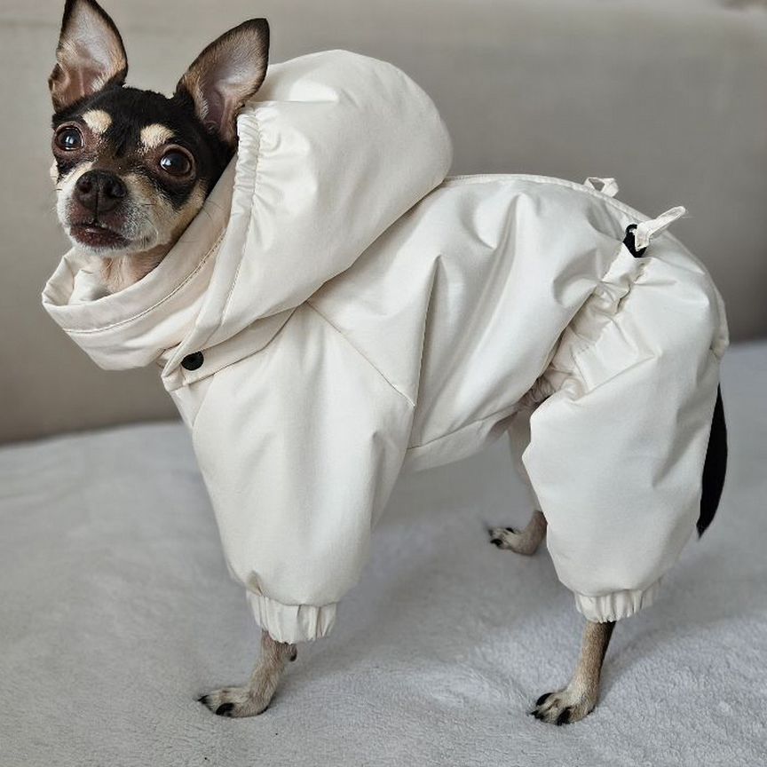 Комбез деми для собаки