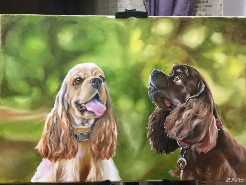 Собака любимка