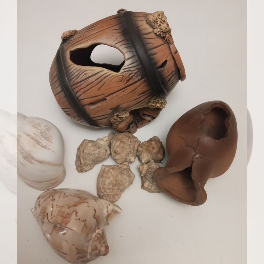 Акссесуары для аквариума, ракушки настоящие