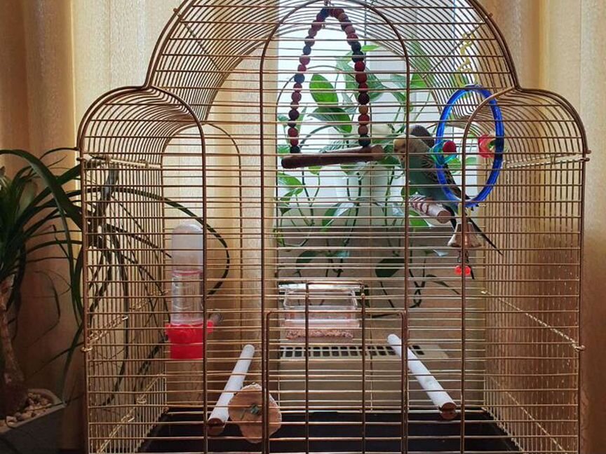 Клетка для волнистых попугаев