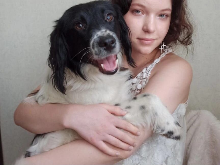 Собака в добрые руки