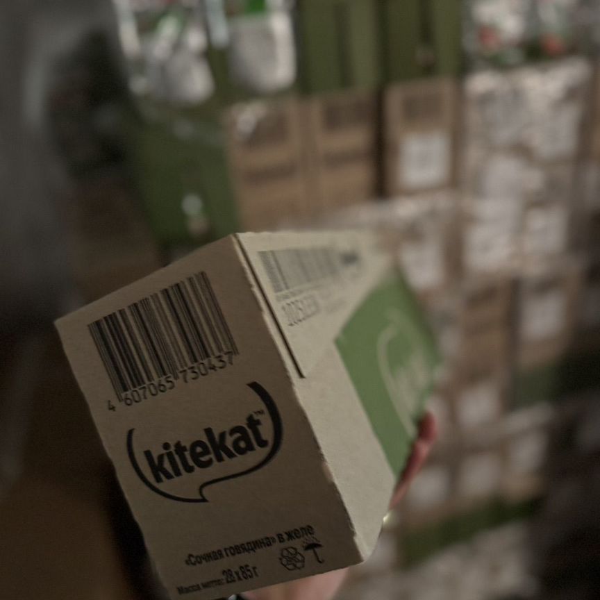Влажный корм kitekat