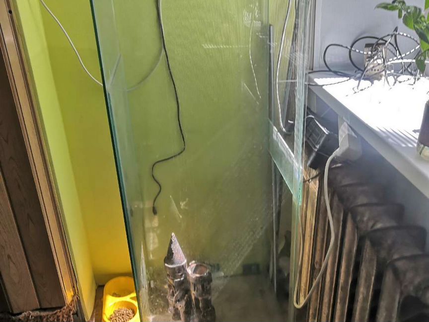 Аквариум
