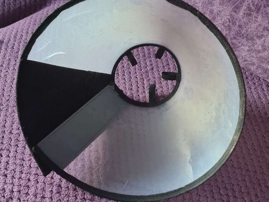 Папона для собаки