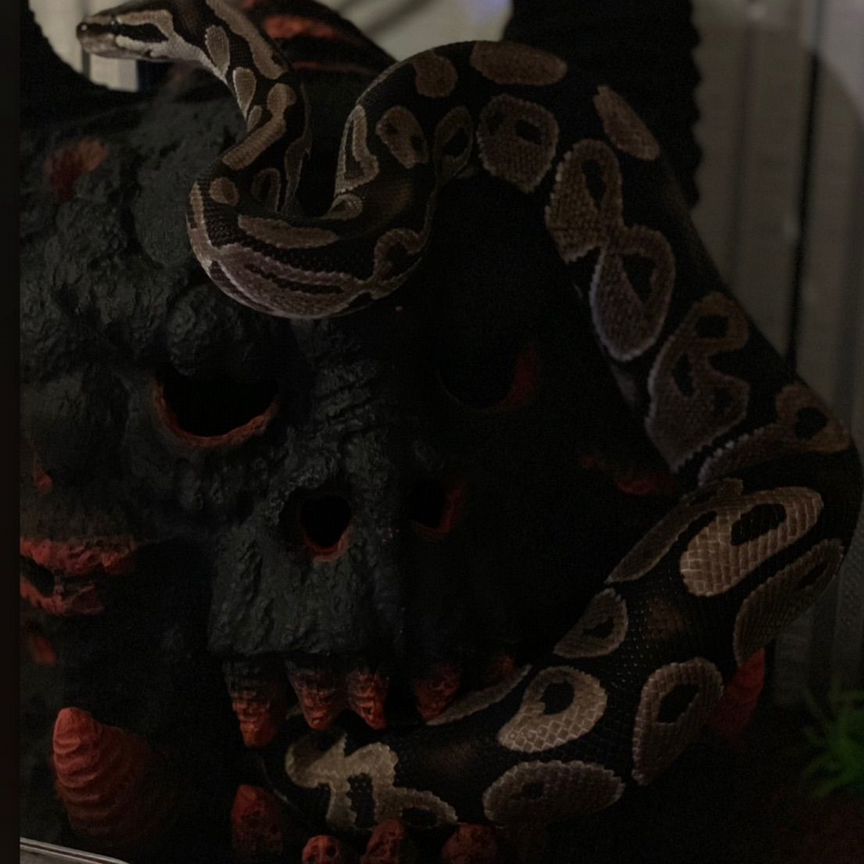 Грот Укрытие для рептилий