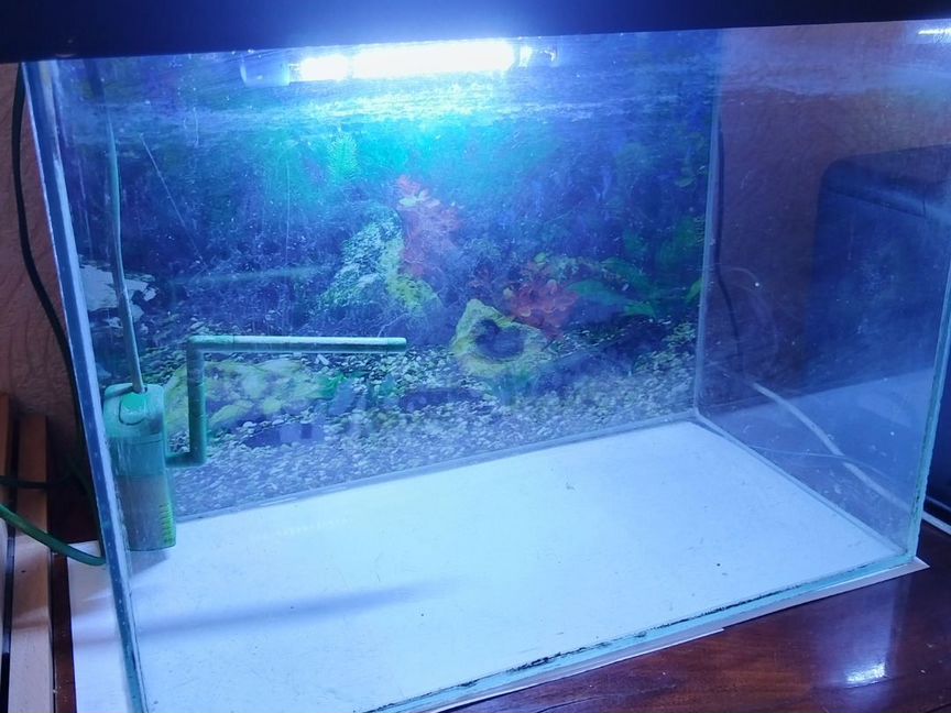 Аквариум 25 л