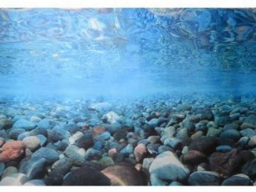 Homefish Морские камни 30 см х 150 см фон для аква