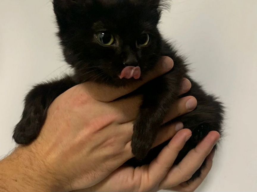 Люсенька 2 мес