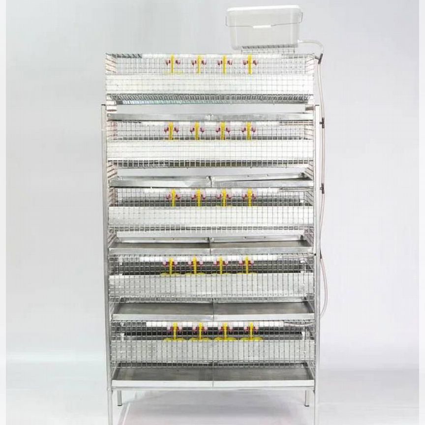 Клетка для 250 перепелов с бункерной кормушкой