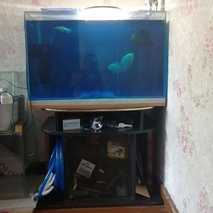 Аквариум