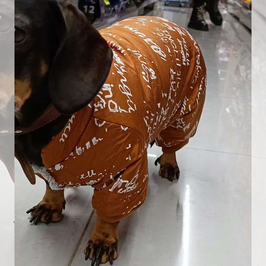 Комбинезон зимний для собаки petmax