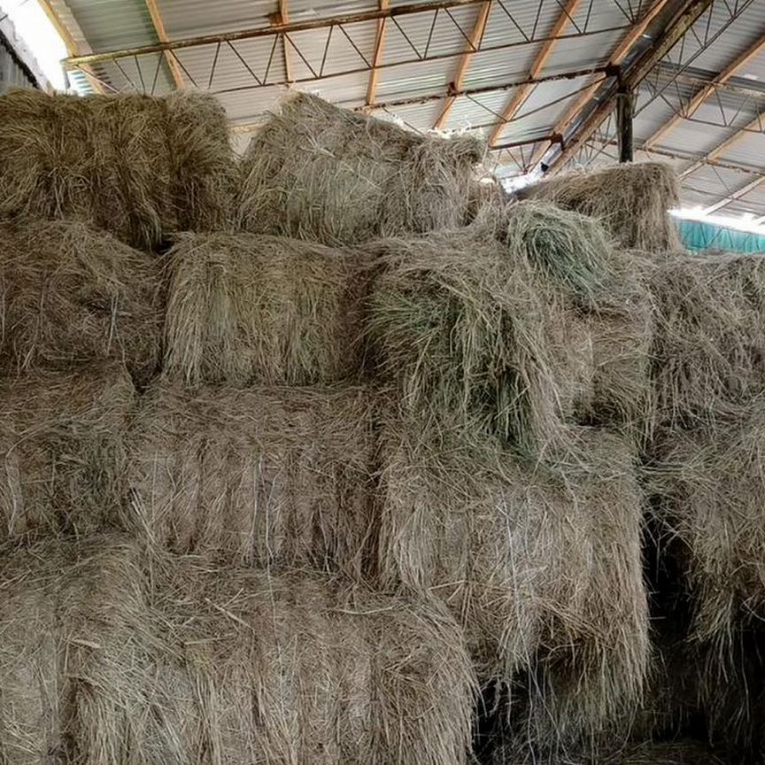 Сено в рулонах