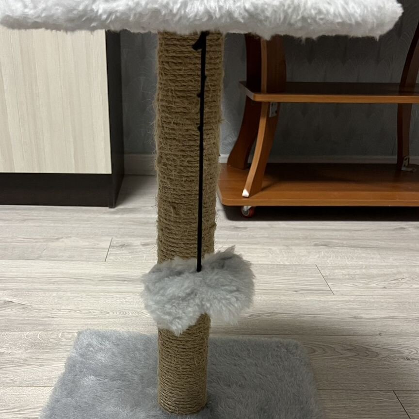 Когтеточка