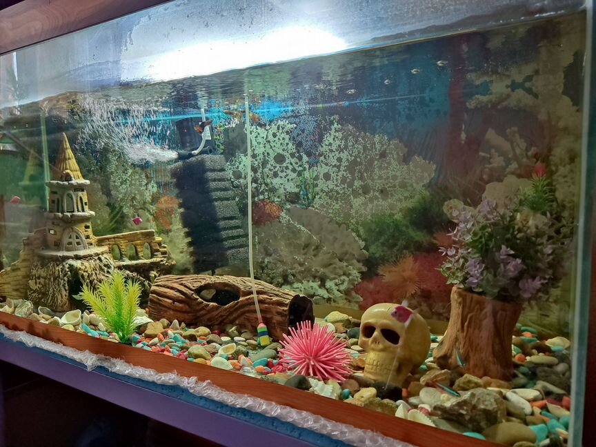 Аквариум с рыбками и всем наполнением