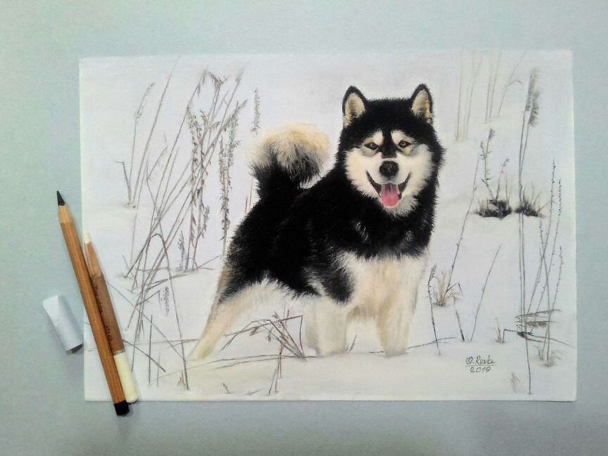 Животные рисую