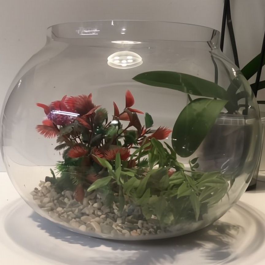 Аквариум круглый диаметр 30см