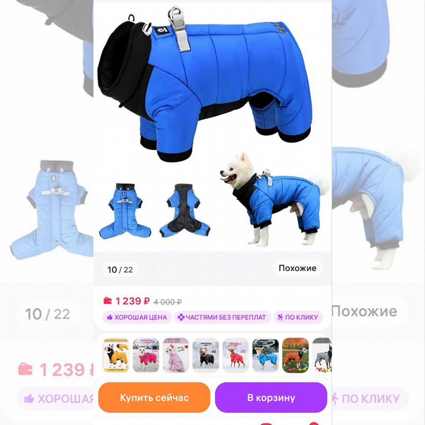 Одежда для собак