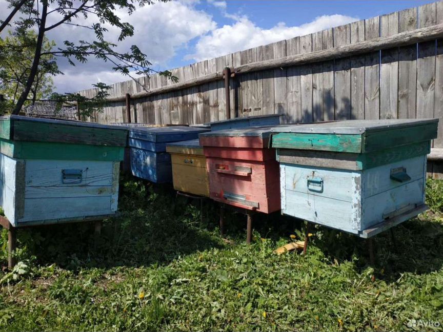 Улей для пчел бу