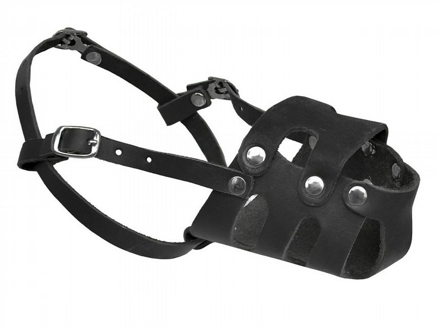 Tappi амуниция намордник кожаный "Сид" ц