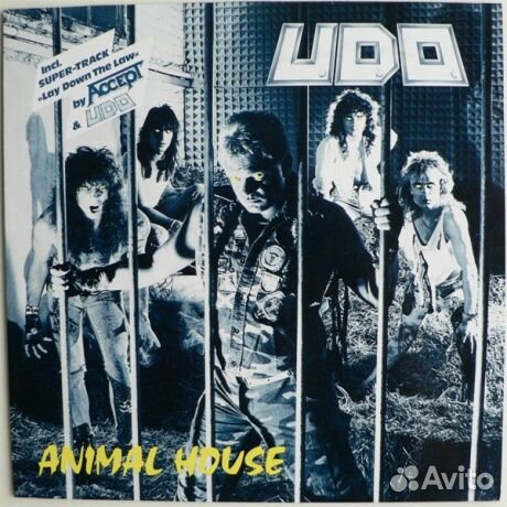 U.D.O. - Animal House (LP, Used) купить в Москве | Хобби и отдых | Авито