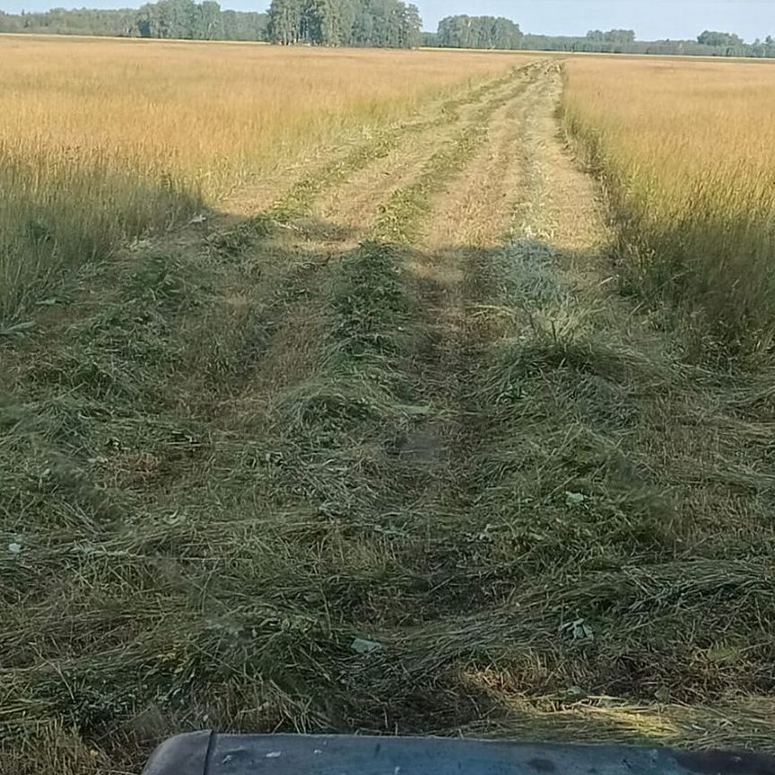 Солома в тюках