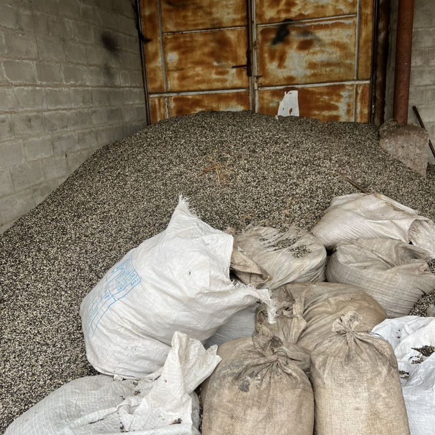 Лузга подсолнечника