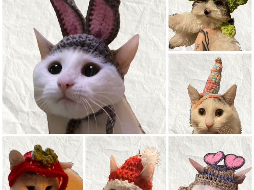 Шапки для животных (кошек, собак)
