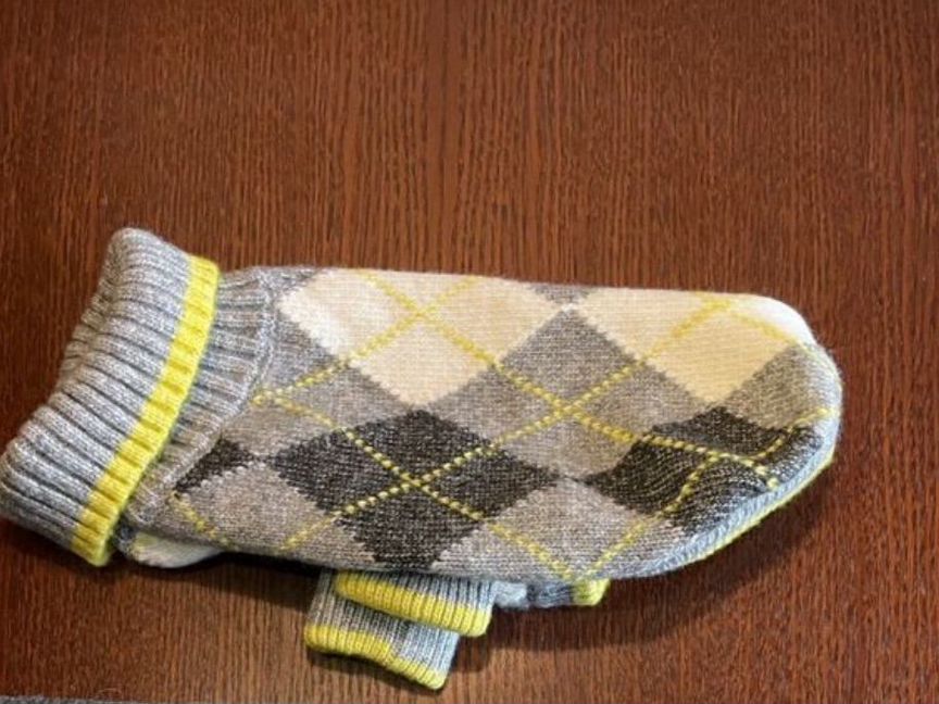 Одежда для собаки h&m pringle