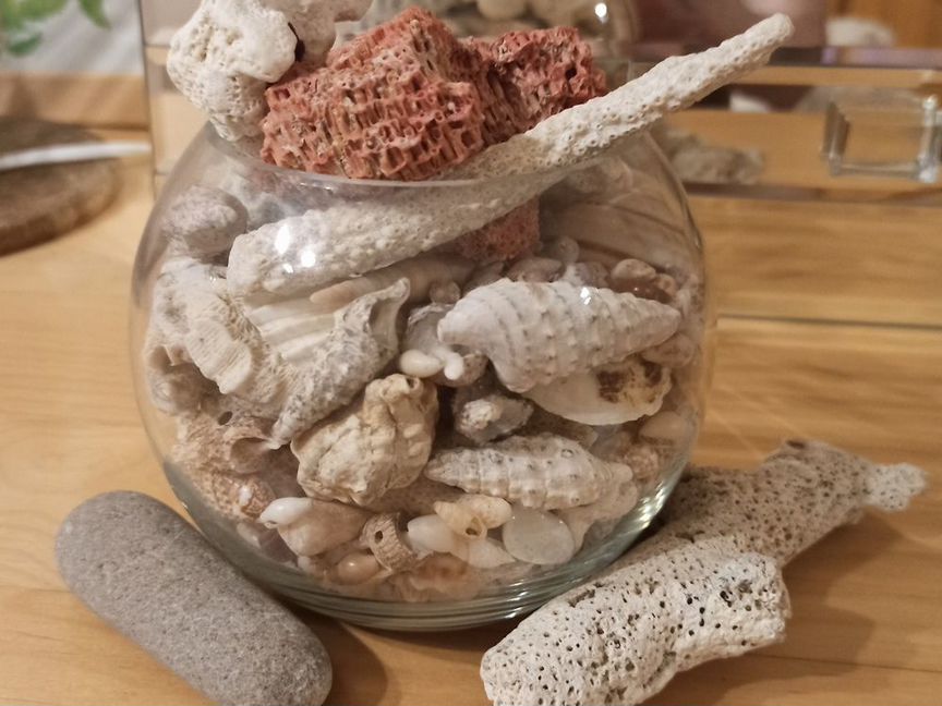 Ракушки и кораллы в круглой вазе. Комплект
