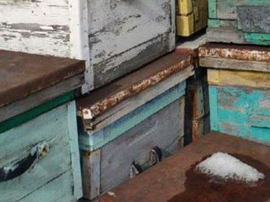 Продам ульи для пчел