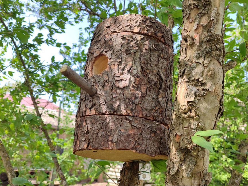 Скворечник-Бельчатник