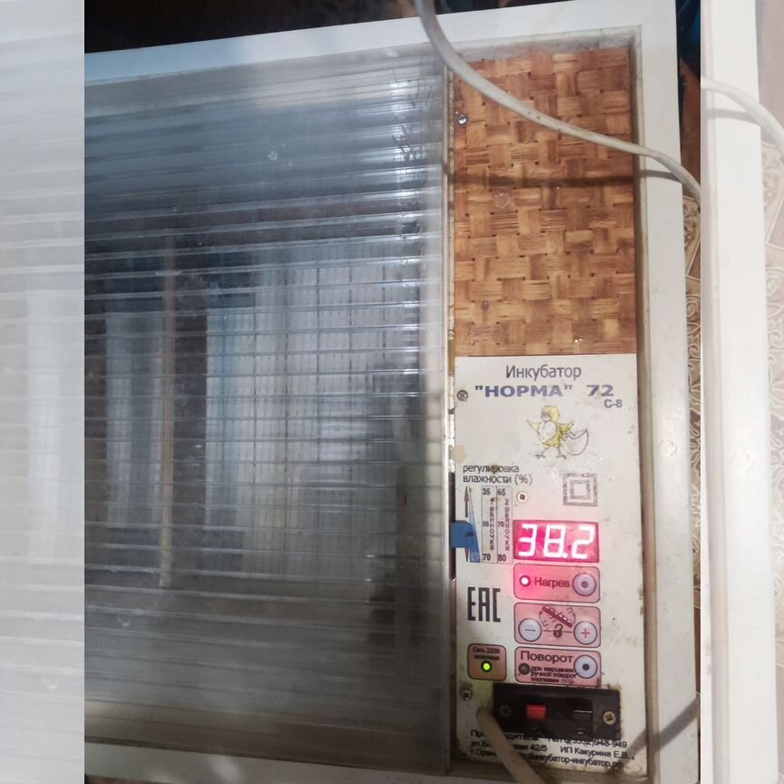 Инкубатор блиц норма