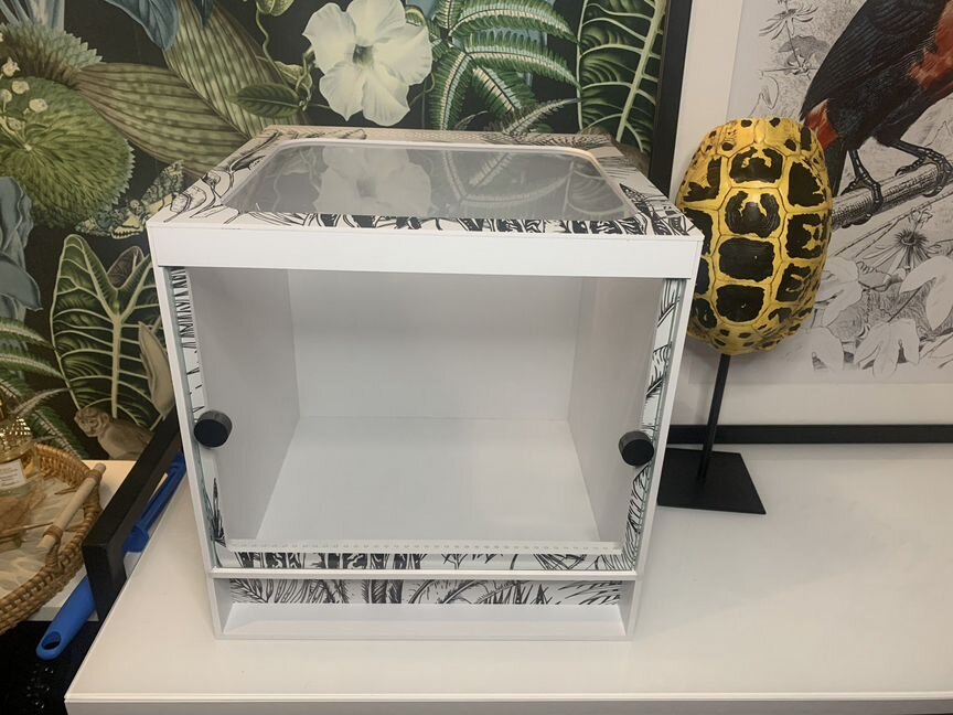 Террариум (инсектарий)