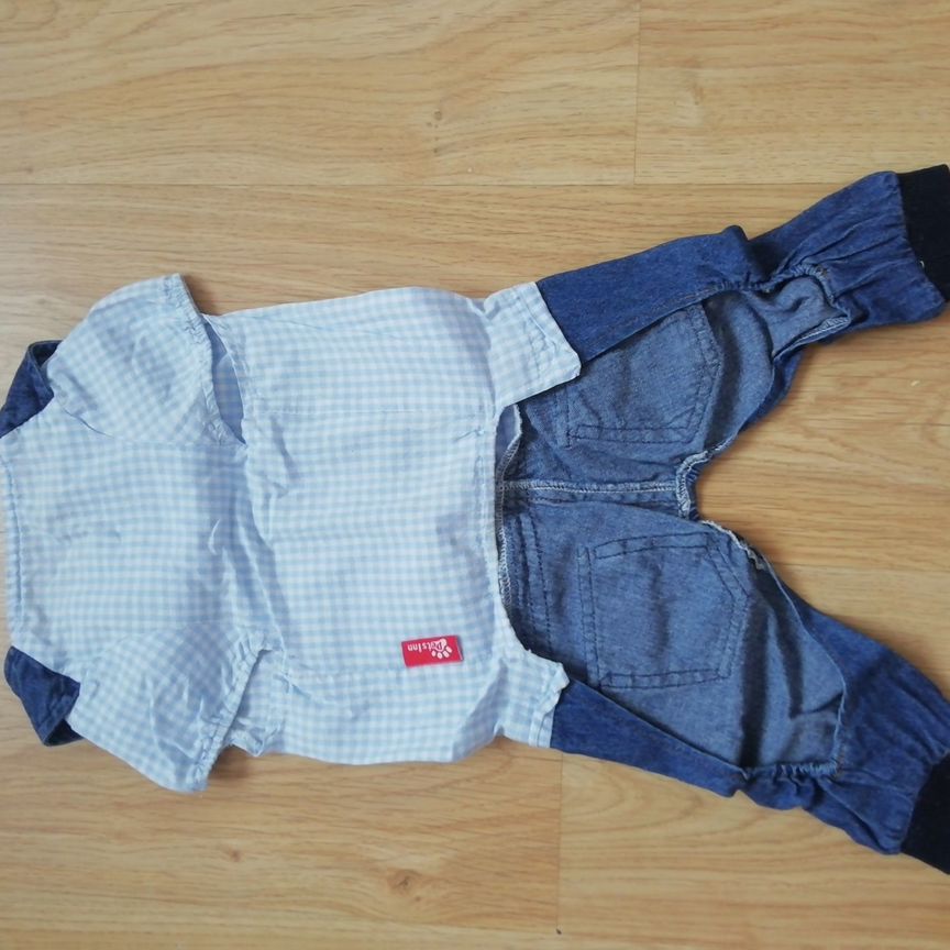 Летний костюм для собак и кошек