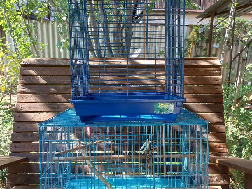 Клетка для попугая