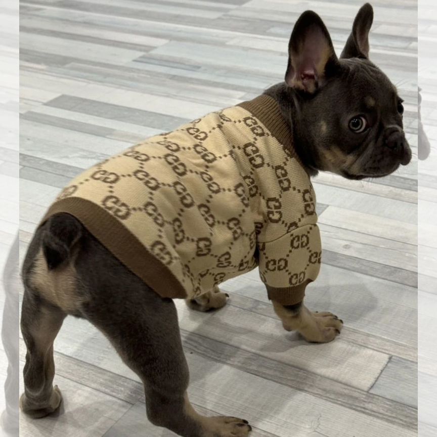 Свитер для собак и кошек премиум