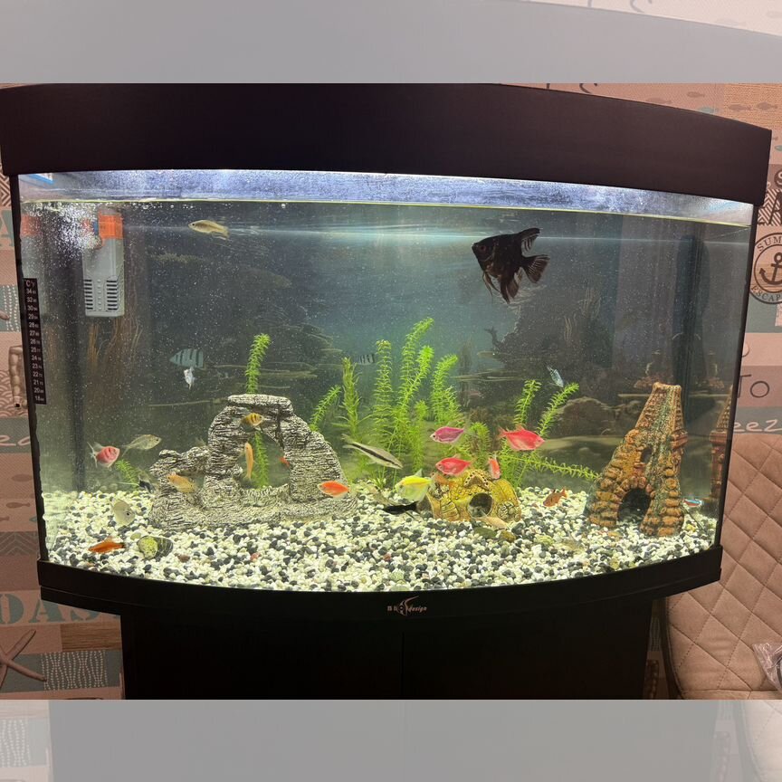 Аквариум с тумбой и рыбками