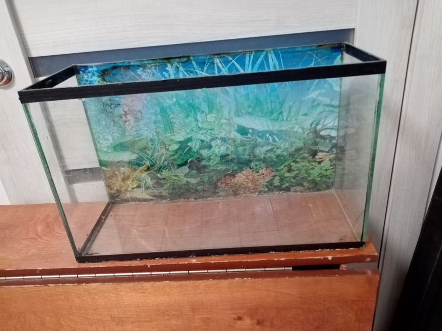 Аквариум 19л