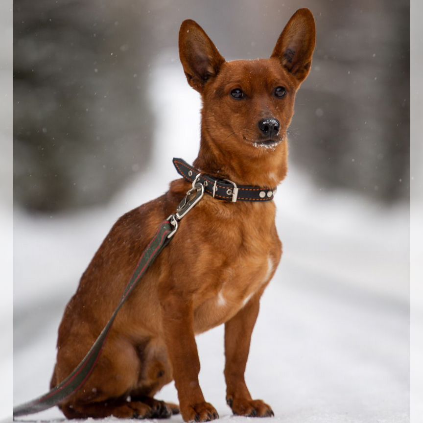 Мальчик красавчик ищет дом