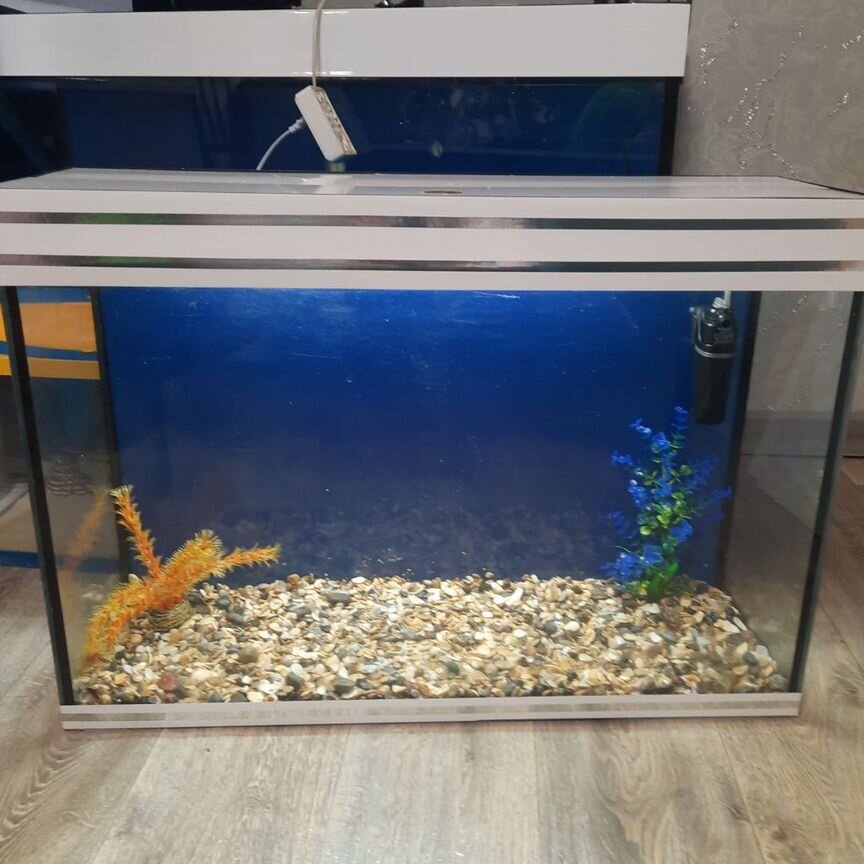 Аквариум 100л