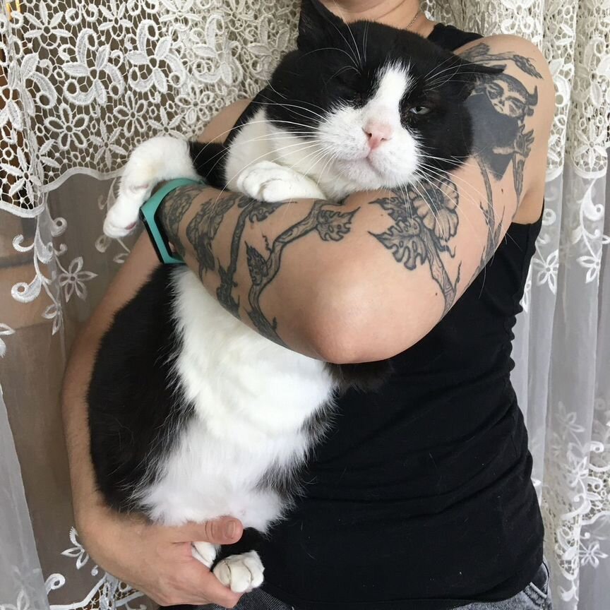 Кот Семен Семеныч