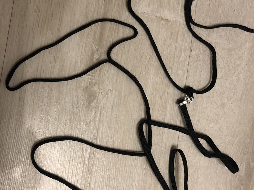 Шлейка для морской свинки