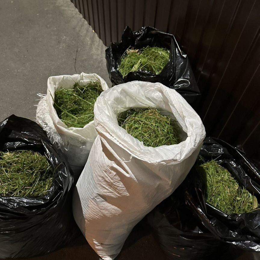 Скошанная трава